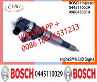 China Diesel Common Rail Injector 0445110029 0445110007 0445110041 0445110049 0445110037 0986435010 for BMW 3.0D for sale
