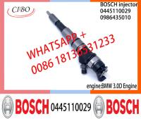 China Diesel Common Rail Injector 0445110029 0445110007 0445110041 0445110049 0445110037 0986435010 for BMW 3.0D for sale