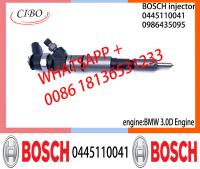 China Diesel Common Rail Injector 0445110041 0986435095 0445110048 0986435094 0445110040 13537785574 for BMW 3.0D for sale