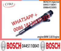 China Diesel Common Rail Injector 0445110041 0986435095 0445110048 0986435094 0445110040 13537785574 for BMW 3.0D for sale