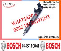 China Diesel Common Rail Injector 0445110041 0986435095 0445110048 0986435094 0445110040 13537785574 for BMW 3.0D for sale