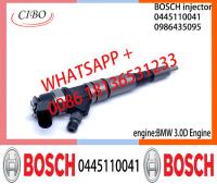 China Diesel Common Rail Injector 0445110041 0986435095 0445110048 0986435094 0445110040 13537785574 for BMW 3.0D for sale
