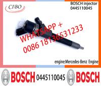 China Diesel Common Rail Injector 0445110045 0445110046 0445110069 0445110070 0445110071 0445110072 for Mercedes-Benz for sale