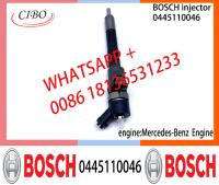 China Diesel Common Rail Injector 0445110045 0445110046 0445110012 0445110024 0445110025 0445110034 for Mercedes-Benz for sale