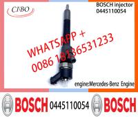 China Diesel Common Rail Injector 0445110054 0986435133 0445110055 A6110701187 for Mercedes-Benz 2.2CDi/2.7CDi for sale