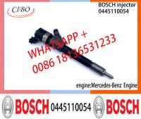 China Diesel Common Rail Injector 0445110054 0986435133 0445110055 A6110701187 for Mercedes-Benz 2.2CDi/2.7CDi for sale
