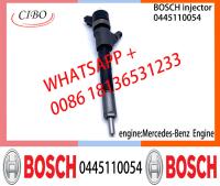China Diesel Common Rail Injector 0445110054 0986435133 0445110055 A6110701187 for Mercedes-Benz 2.2CDi/2.7CDi for sale
