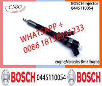 China Diesel Common Rail Injector 0445110054 0986435133 0445110055 A6110701187 for Mercedes-Benz 2.2CDi/2.7CDi for sale