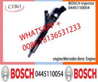 China Diesel Common Rail Injector 0445110054 0986435133 0445110055 A6110701187 for Mercedes-Benz 2.2CDi/2.7CDi for sale