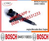 China Diesel Common Rail Injector 0445110054 A6110701187 0445110055 0445110128 A6110701187 for Mercedes-Benz 2.2CDi/2.7CDi for sale
