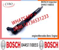 China Diesel Common Rail Injector 0445110054 A6110701187 0445110055 0445110128 A6110701187 for Mercedes-Benz 2.2CDi/2.7CDi for sale