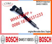China Diesel Common Rail Injector 0445110054 A6110701187 0445110055 0445110128 A6110701187 for Mercedes-Benz 2.2CDi/2.7CDi for sale