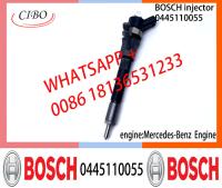 China Diesel Common Rail Injector 0445110054 A6110701187 0445110055 0445110128 A6110701187 for Mercedes-Benz 2.2CDi/2.7CDi for sale