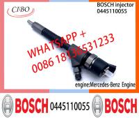 China Diesel Common Rail Injector 0445110054 A6110701187 0445110055 0445110128 A6110701187 for Mercedes-Benz 2.2CDi/2.7CDi for sale