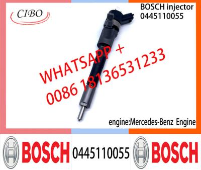China Diesel Common Rail Injector 0445110054 0445110055 0445110137 0445110138 0445110139 for Mercedes-Benz 2.2CDi/2.7CDi for sale