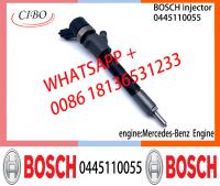 China Diesel Common Rail Injector 0445110054 0445110055 0445110137 0445110138 0445110139 for Mercedes-Benz 2.2CDi/2.7CDi for sale
