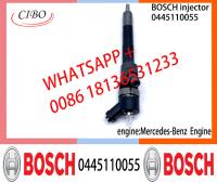 China Diesel Common Rail Injector 0445110054 0445110055 0445110137 0445110138 0445110139 for Mercedes-Benz 2.2CDi/2.7CDi for sale