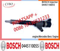 China Diesel Common Rail Injector 0445110054 0445110055 0445110137 0445110138 0445110139 for Mercedes-Benz 2.2CDi/2.7CDi for sale