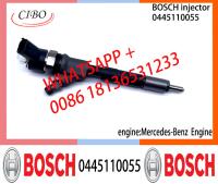 China Diesel Common Rail Injector 0445110054 0445110055 0445110137 0445110138 0445110139 for Mercedes-Benz 2.2CDi/2.7CDi for sale