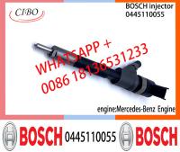 China Diesel Common Rail Injector 0445110054 0445110055 0445110137 0445110138 0445110139 for Mercedes-Benz 2.2CDi/2.7CDi for sale
