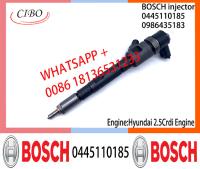 China Diesel Common Rail Injector 0445110185 0986435183 33800-4A300 33800-44350 33800-4A350 33800-4A360 for Hyundai 2.5Crdi for sale