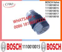 China Pressure relief valve 1110010014 1110010015 1110010016 1110010017 1110010018 1110010019 1110010022 1110010023 1110010024 for sale