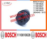 China Pressure relief valve 1110010026 1110010027 1110010028 1110010029 2854543（015）1110010009 1110010010 1110010011 for sale