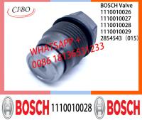 China Pressure relief valve 1110010026 1110010027 1110010028 1110010029 2854543（015）1110010009 1110010010 1110010011 for sale