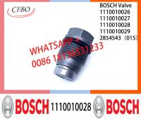 China Pressure relief valve 1110010026 1110010027 1110010028 1110010029 2854543（015）1110010009 1110010010 1110010011 for sale
