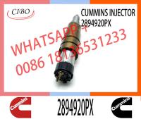 China Fuel Injector Assembly 2872544 2086663 2894920PX 2057401 2872405 203183 Common Rail Injector for sale