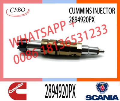 China Common rail injector fuel injecto 2894920PX 2058444 2482244 2031386 for ISZ13 Excavator DC09 DC16 DC13 for sale
