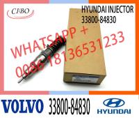 China Diesel Injector Valve And Nozzle Fuel Injector 33800-84830 For VOL HYUNDAI for sale