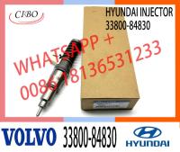 China Diesel Injector Valve And Nozzle Fuel Injector 33800-84830 For VOL HYUNDAI for sale