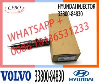 China Diesel Injector Valve And Nozzle Fuel Injector 33800-84830 For VOL HYUNDAI for sale