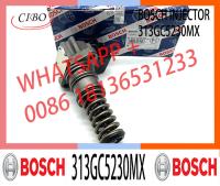 China Injector Pump 313GC5230M 313GC5230MX for DAF XF95 95XF 480 CF75-85 for sale