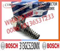 China Injector Pump 313GC5230M 313GC5230MX for DAF XF95 95XF 480 CF75-85 for sale