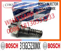 China Injector Pump 313GC5230M 313GC5230MX for DAF XF95 95XF 480 CF75-85 for sale
