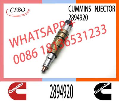 China Common Rail Fuel Injector 2897320 2872405 2086663 2894920 2482244 2488244 4327147 2872056 2872284 For Diesel Engine for sale