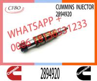 China Common Rail Fuel Injector 2897320 2872405 2086663 2894920 2482244 2488244 4327147 2872056 2872284 For Diesel Engine for sale