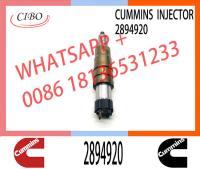 China Common Rail Fuel Injector 2897320 2872405 2086663 2894920 2482244 2488244 4327147 2872056 2872284 For Diesel Engine for sale