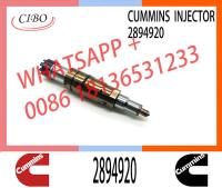 China Common Rail Fuel Injector 2897320 2872405 2086663 2894920 2482244 2488244 4327147 2872056 2872284 For Diesel Engine for sale