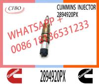 China Common rail injector fuel injecto 2894920PX 2058444 2482244 2031386 2030519 2031836 for ISZ13 Excavator DC09 DC16 DC13 for sale