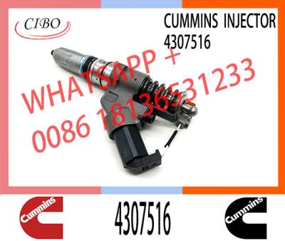 China Diesel Engine Fuel Injector 3083849 3087557 4307516 3411845 3411754 3411755 4928517 For QSM11 ISM11 M11 for sale