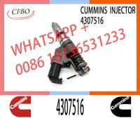 China Diesel Engine Fuel Injector 3083849 3087557 4307516 3411845 3411754 3411755 4928517 For QSM11 ISM11 M11 for sale