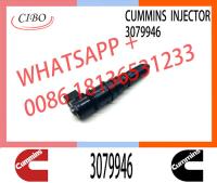 China Fuel Injector 3079946 3411821 3087648 3018835 for cum-mins NTA855 for sale