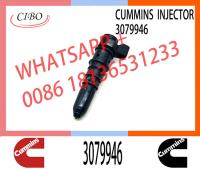 China Fuel Injector 3079946 3411821 3087648 3018835 for cum-mins NTA855 for sale