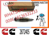China Fuel Injector Assembly 2872544 2086663 2057401 2872405 203183 2030519 2031836 2872289 2086663 Common Rail Injector for sale