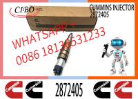 China Fuel Injector Assembly 2872544 2086663 2057401 2872405 203183 2030519 2031836 2872289 2086663 Common Rail Injector for sale