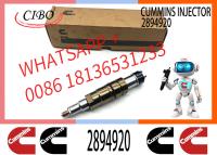 China Diesel Common Rail Fuel Injector 2086663 1933613 1881565 2894920 2030519 2031836 2872289 2086663 2058444 for sale