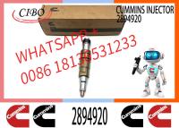 China Diesel Common Rail Fuel Injector 2086663 1933613 1881565 2894920 2030519 2031836 2872289 2086663 2058444 for sale